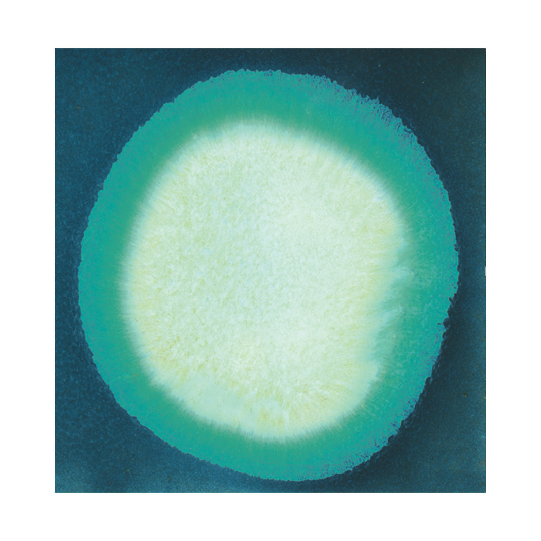 Cosmics Tiles – Clay Squared